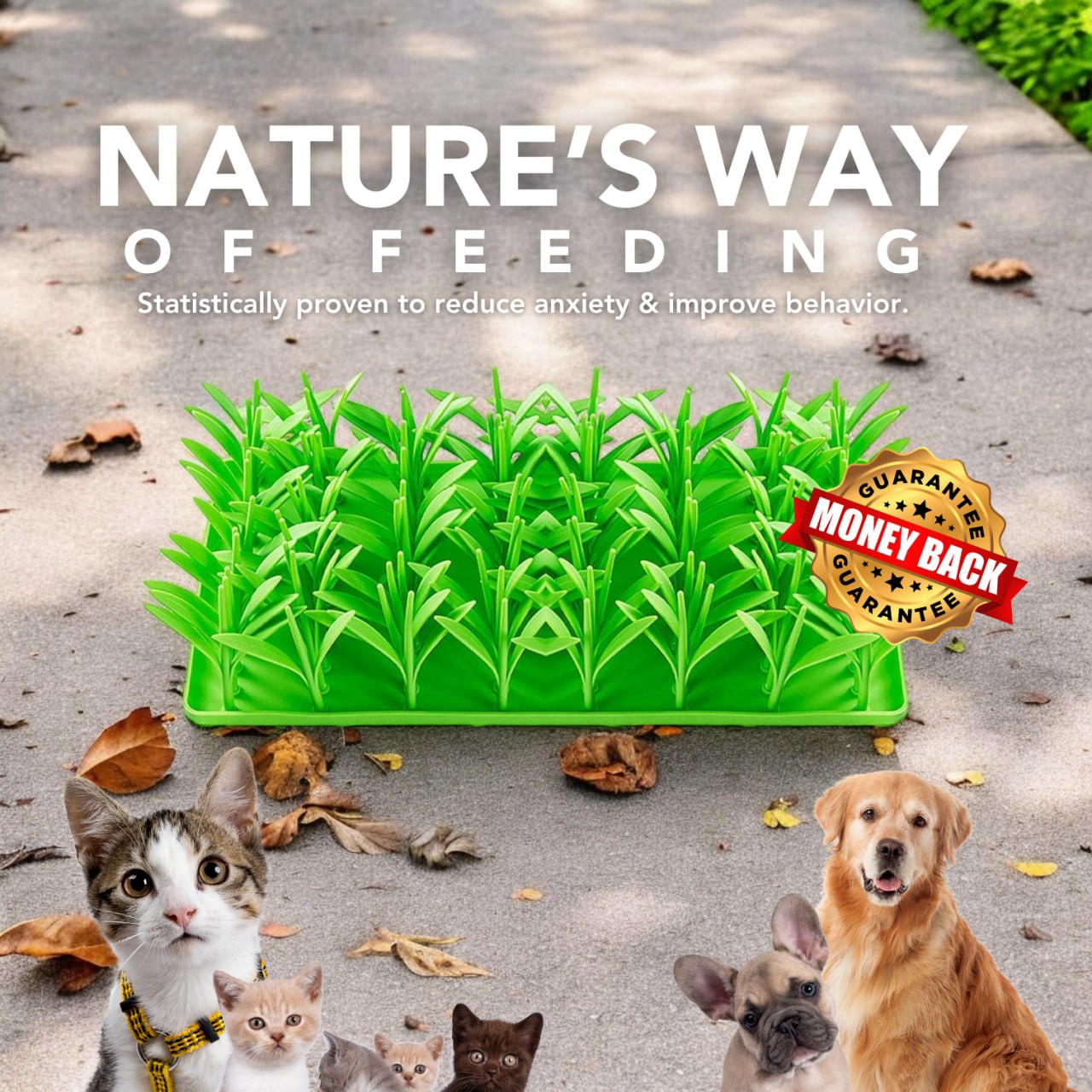 Pet Grass Foraging Mat® – LndmarkClub